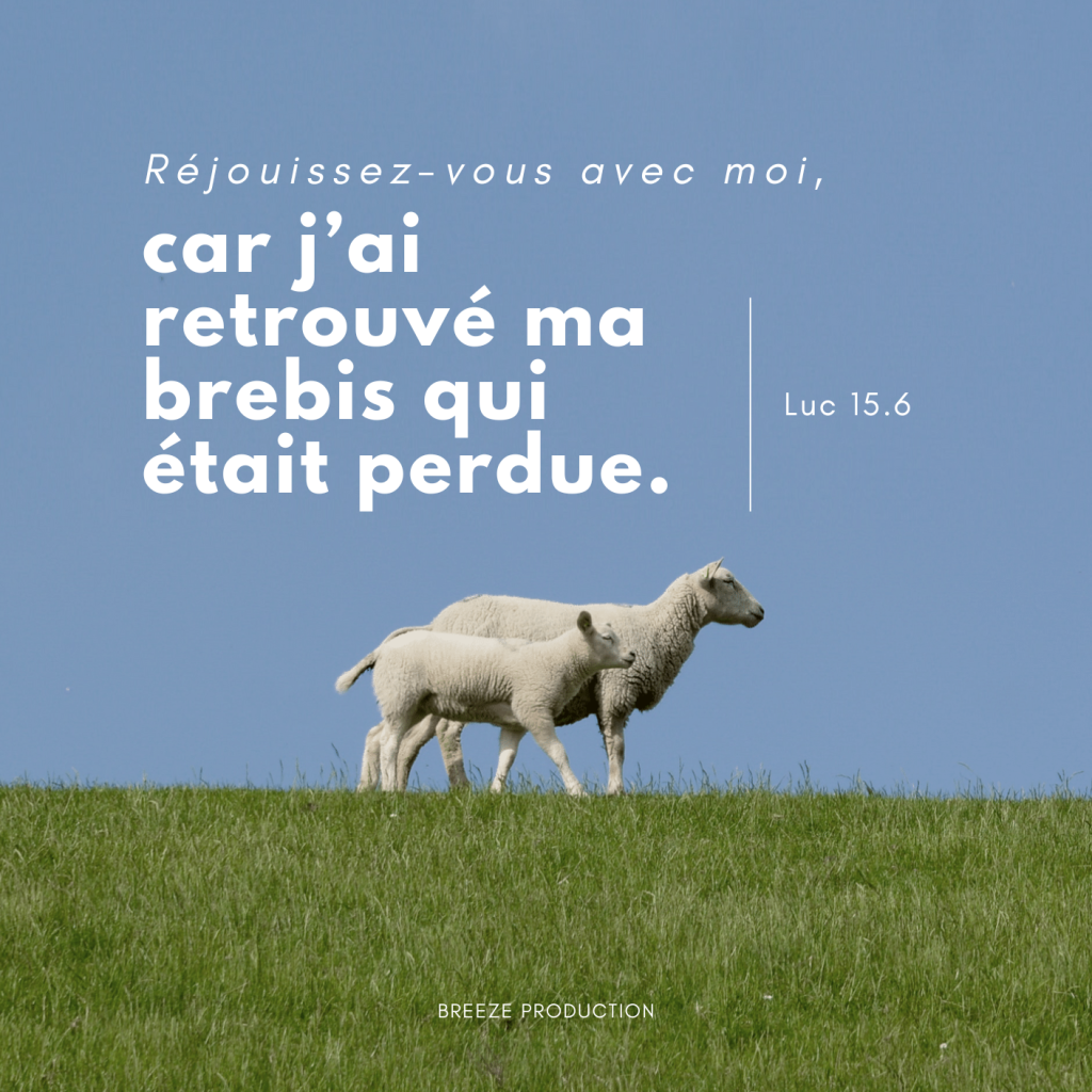 Luc 15 - La Bible Jour après jour